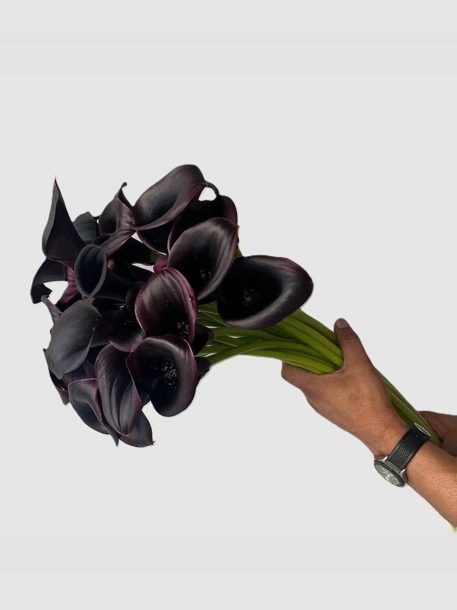 19 калл сливового цвета