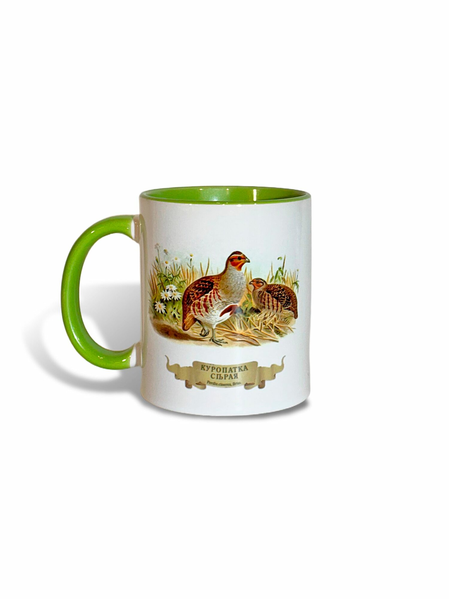 Декоративная кружка с изображением куропатки серой исп.2к