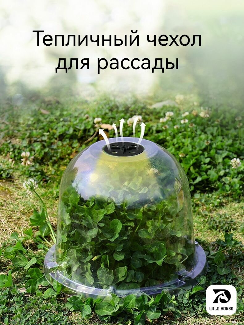 Парник, теплица — фото 1