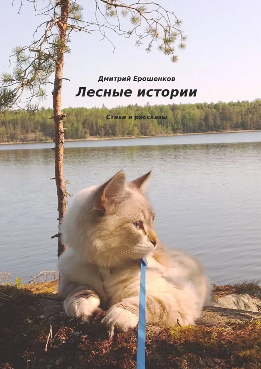 Лесные истории [Цифровая книга]