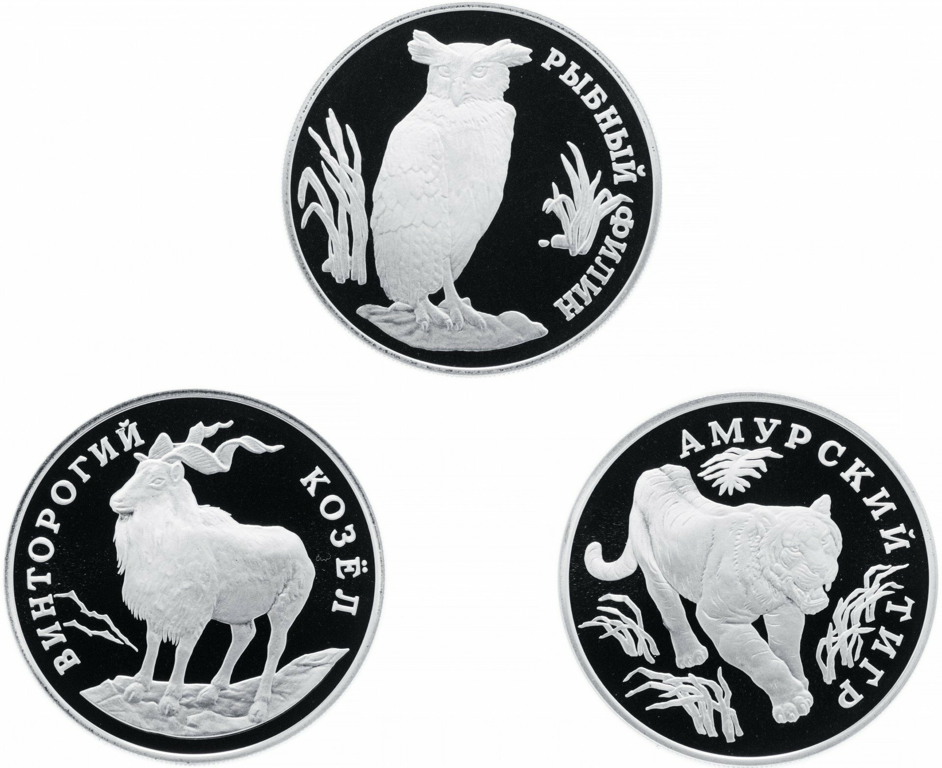 Набор из 3х монет 1 рубль 1993 ЛМД Proof "Красная книга - филин, козел, тигр", Серебро 900