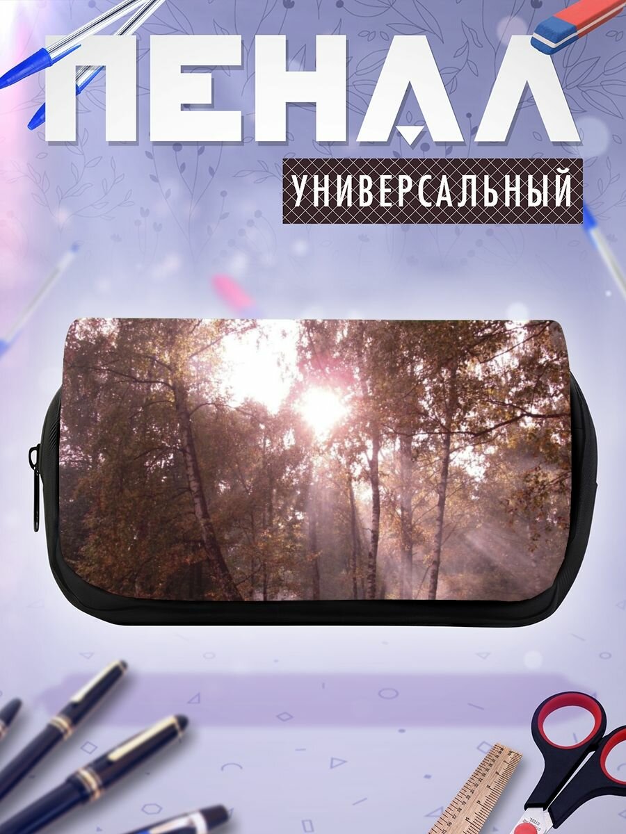 Школьный пенал лес береза