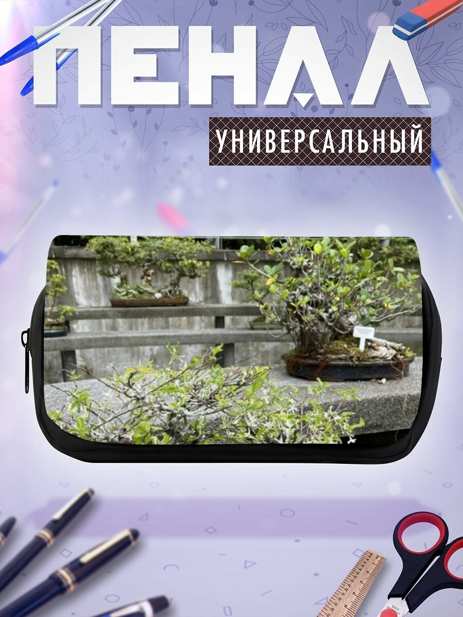 Школьный пенал дерево китайская сладкая слива