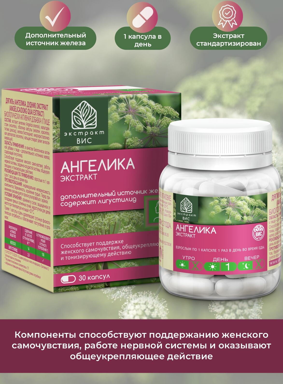 Биологически активная добавка Дягиль (Ангелика, Дудник) Экстракт (Angelica/DONG QUAI Extract), капсулы массой 0,73г №30