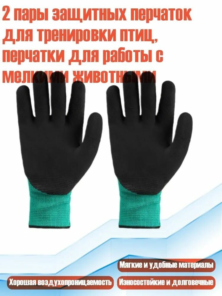 2 пары защитных перчаток для тренировки птиц, перчатки для работы с мелкими животными