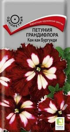 Семена Петуния "Грандифлора Кан кан Бургунди" бархатные кружевные цветки "Поиск"