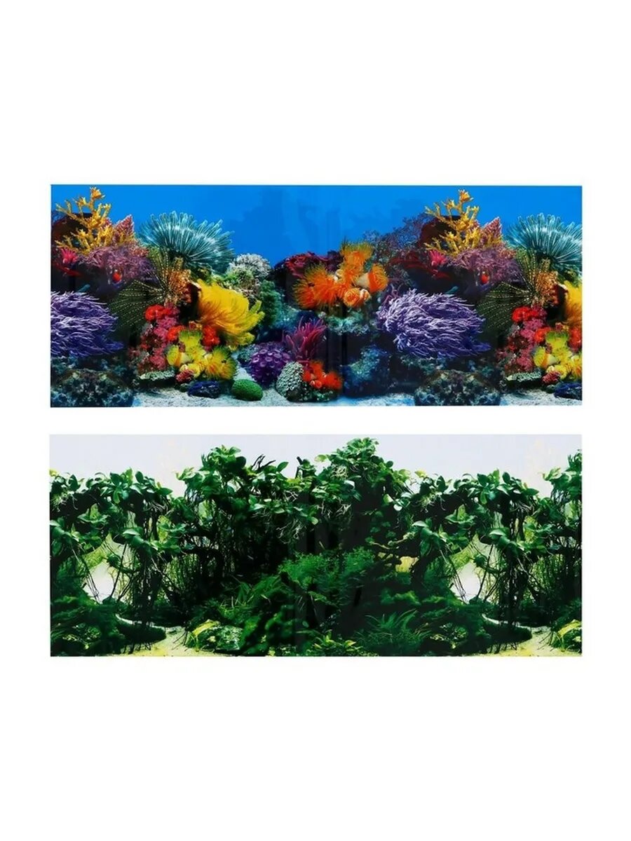 Двусторонний фон для аквариума 50х115 см