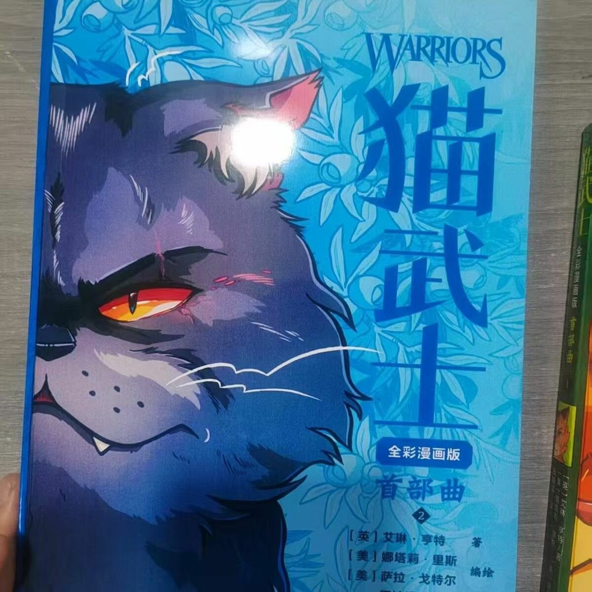 Warriors Graphic Novel: The Prophecies Begin #2