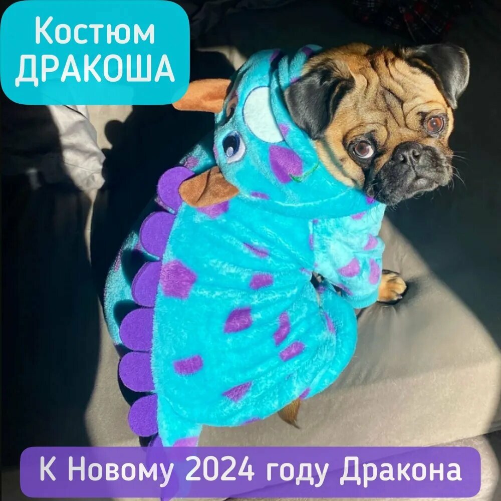 Костюм "ДРАКОН" к Новому 2024 году Дракона для собак мелких пород (размер L)