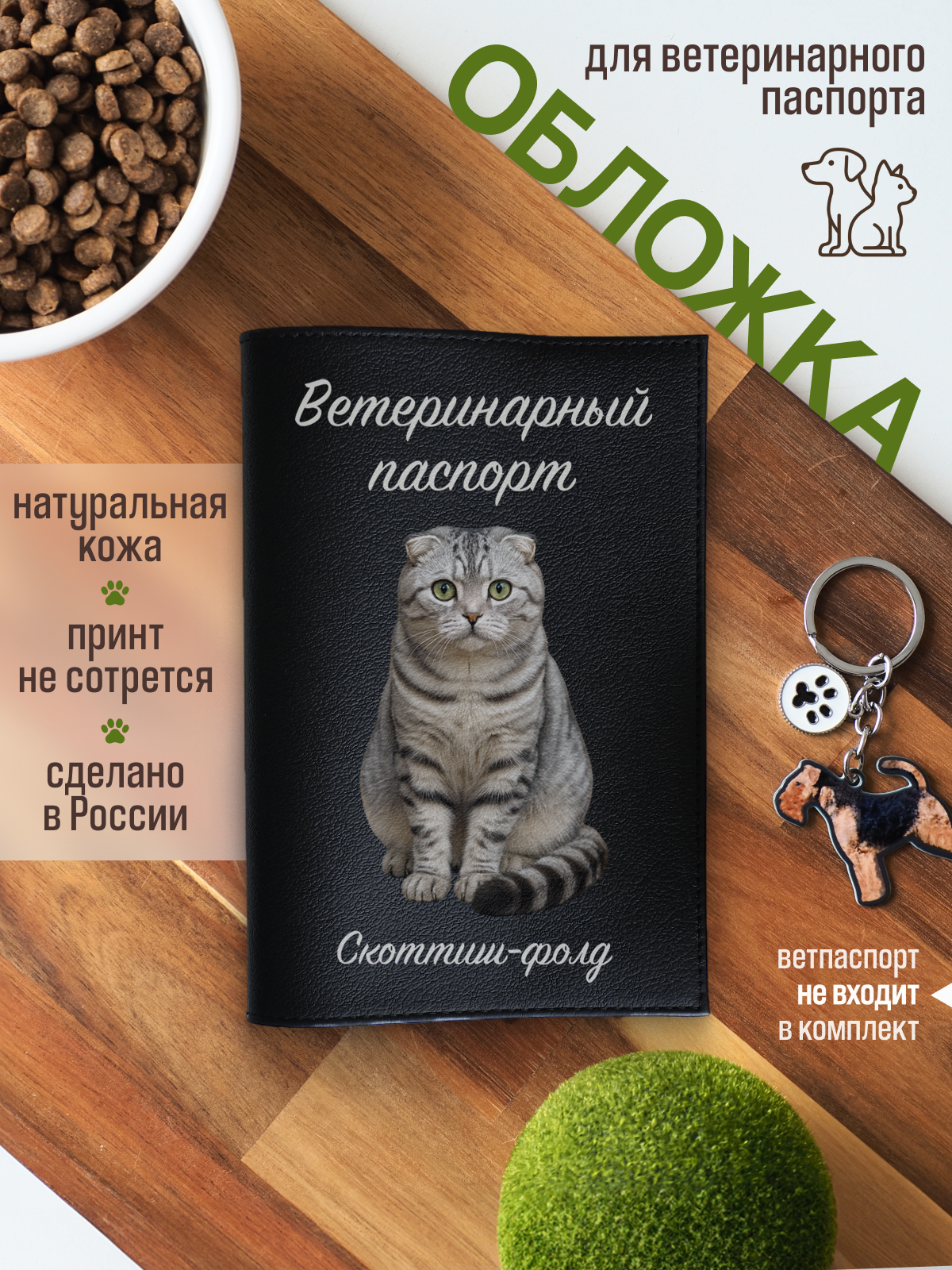 Обложка на ветеринарный паспорт для кошек с принтом Скоттиш-фолд