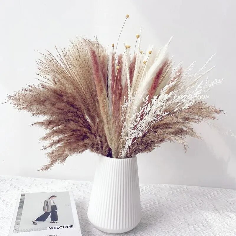 Сухоцветы Аспарагус