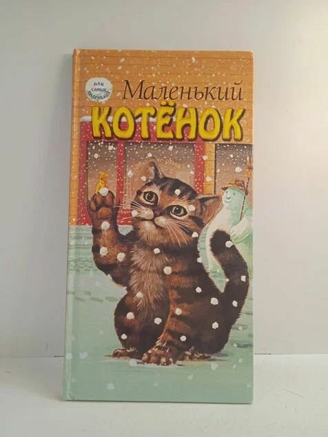 Маленький котёнок
