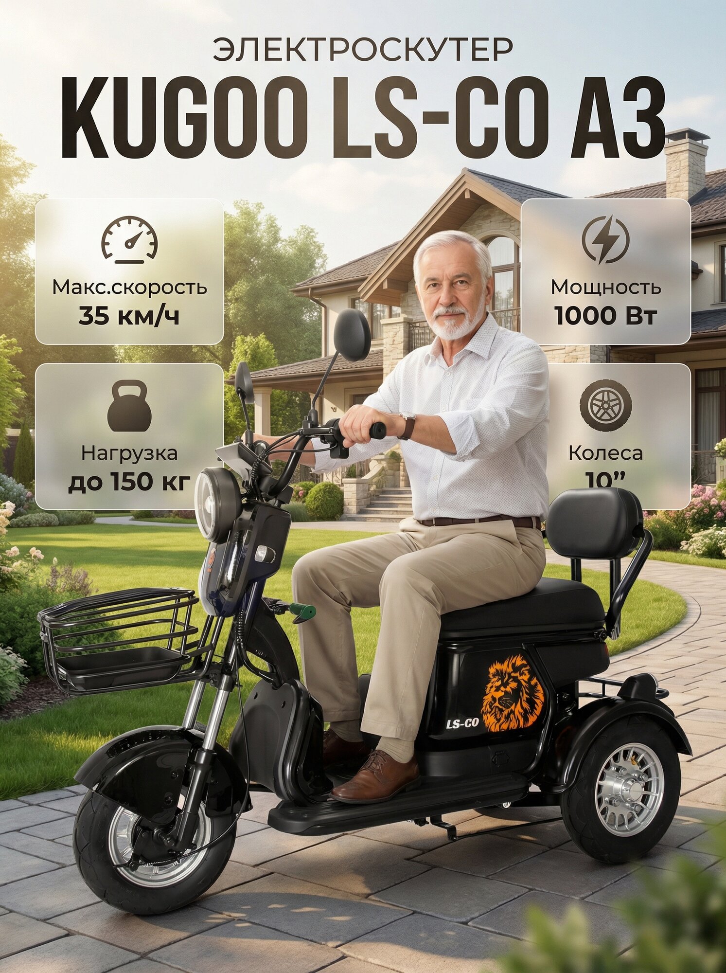 Электроскутер трехколесный LS-CO A3 1000W 60V/23Ah Li-ion Черный