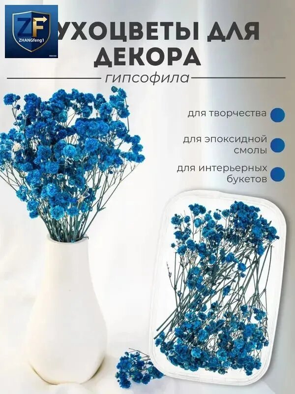 Сухоцветы Гипсофила, 1 шт