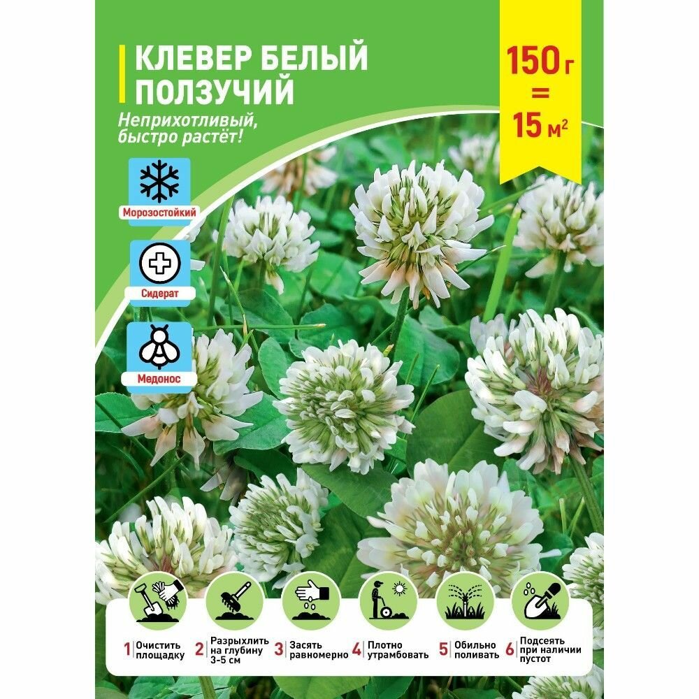 Семена газонной травы Клевер белый ползучий Юра/Многолетник, 150 гр, Русский Огород.