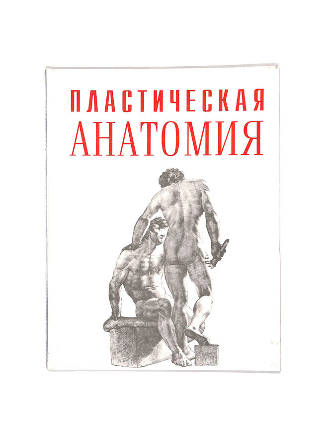 Пластическая анатомия и изображение человека на её основах