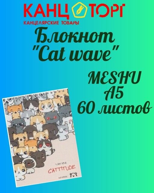 Блокнот А5 60л. MESHU "Сat wave", пластиковая обложка MS_41458