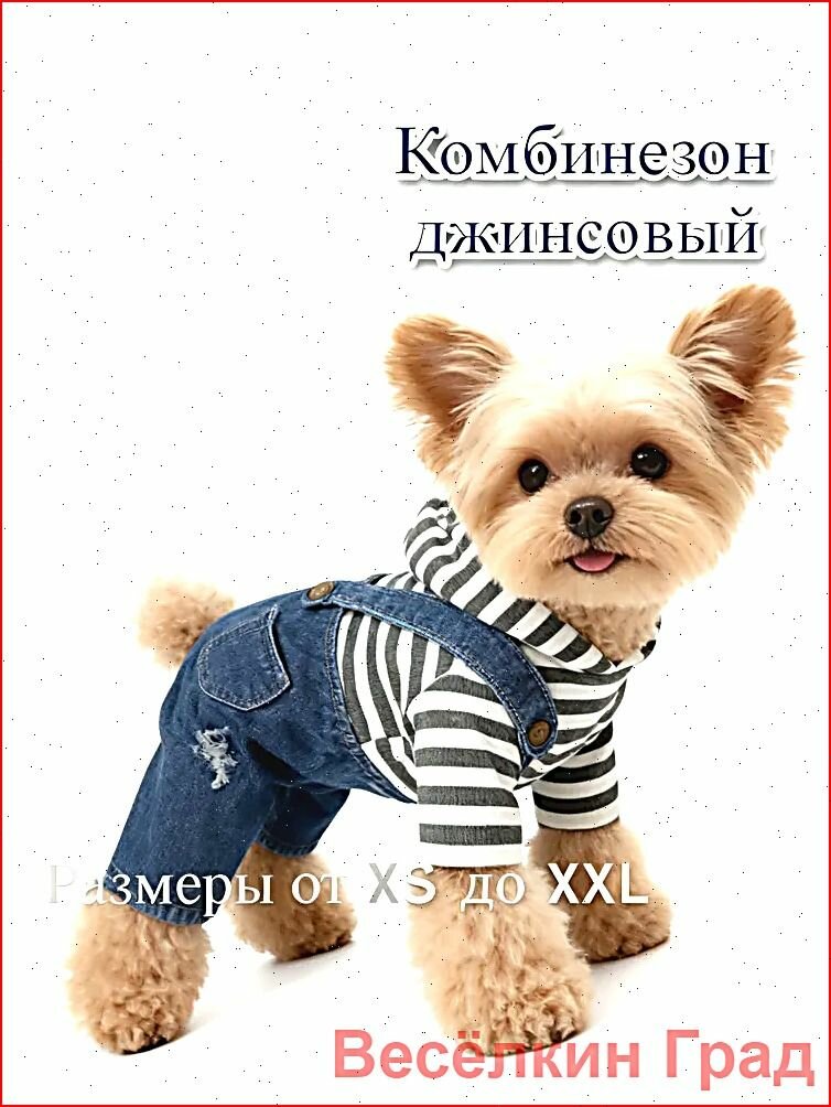 Комбинезон, для собак, джинсовый, в полоску, универсальный, размер M