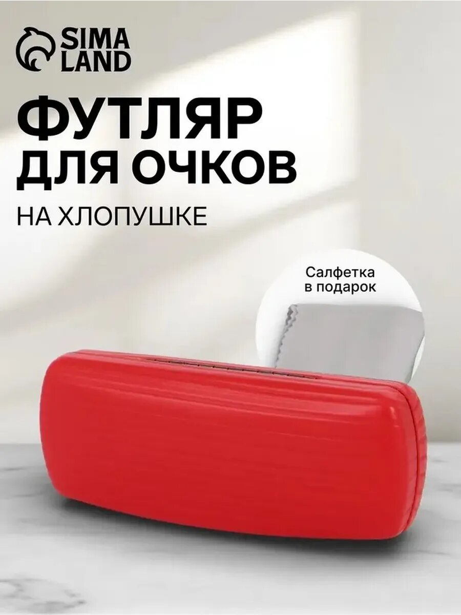 Современный вместительный футляр для очков