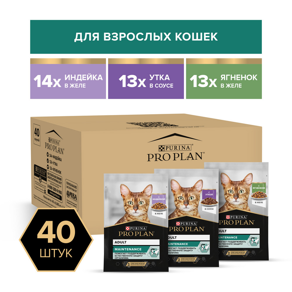 Pro plan ADULT MAINTENANCE Cat набор паучей для кошек, индейка в желе, утка в соусе, ягненок в желе 40штх85г