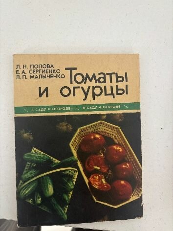 Томаты и огурцы.