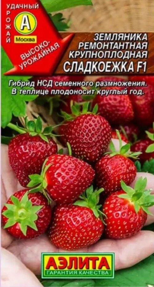 Семена земляники Аэлита Сладкоежка, ремонтантная крупноплодная, 10 шт