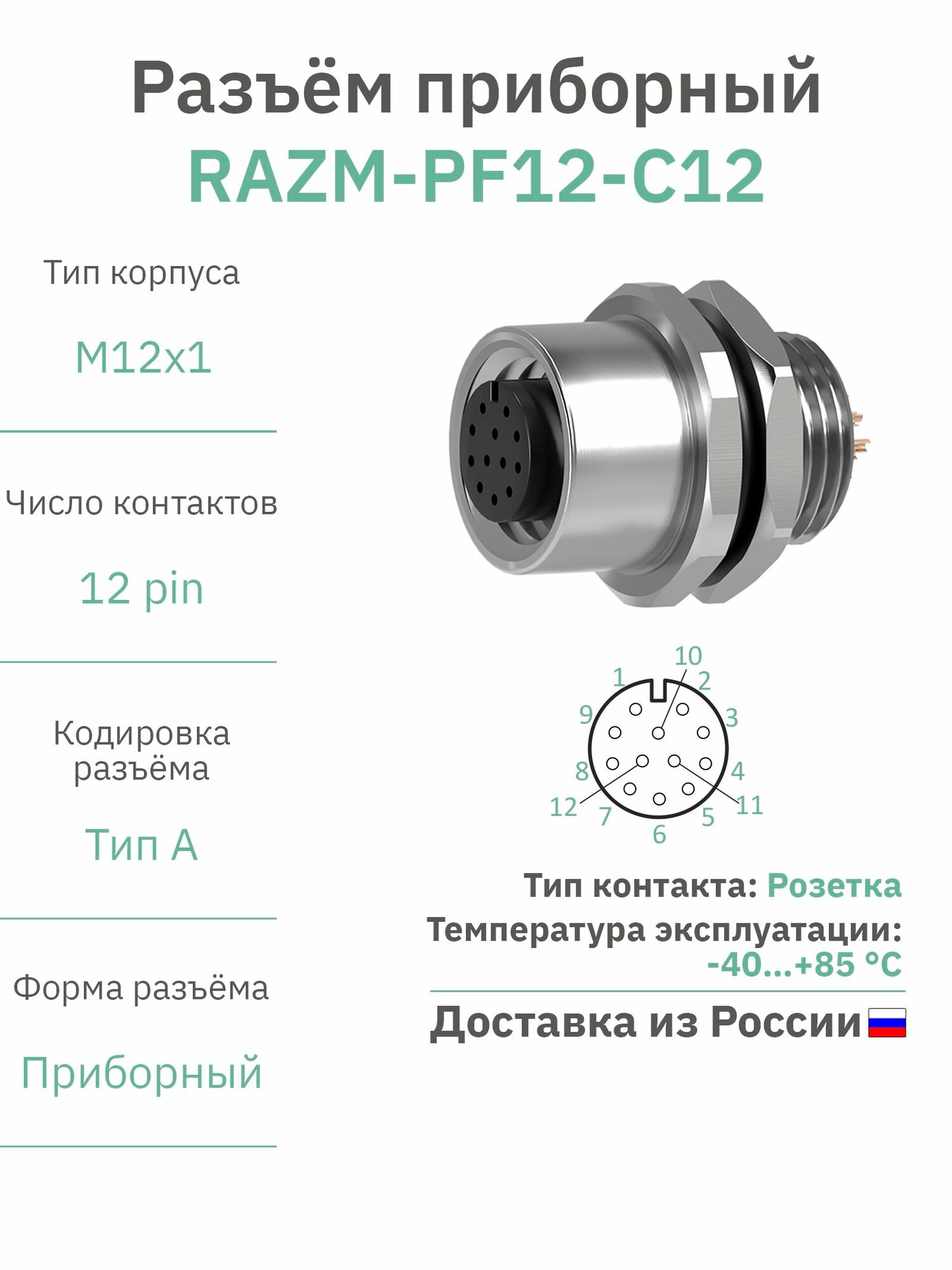 RAZM-PF12-C12 разъём приборный М12 12 pin / розетка (мама)