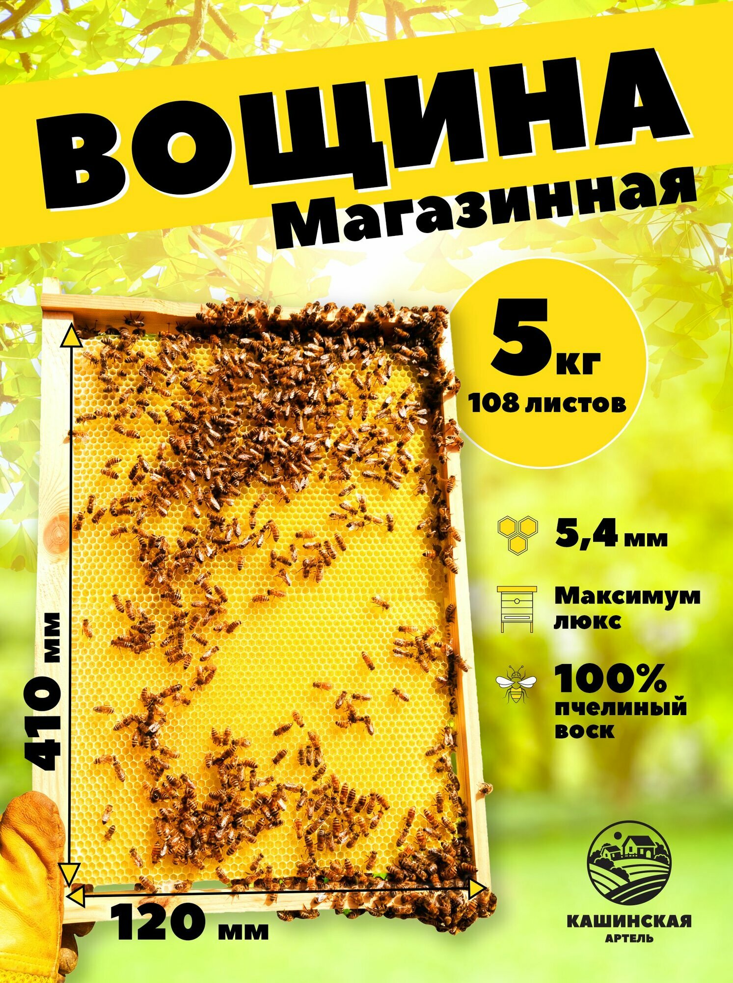 Вощина Магазинная