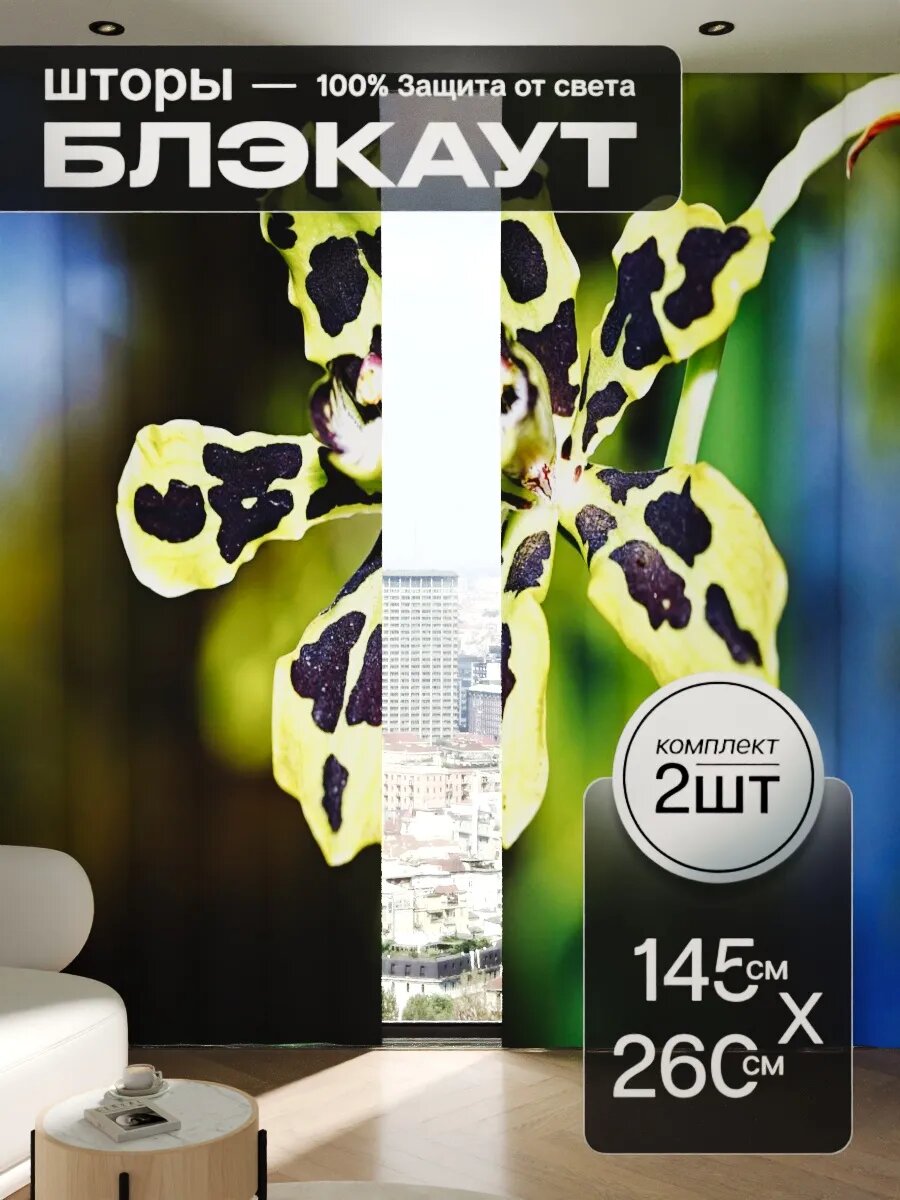 Шторы блэкаут 145x260 см 2 шт на окна плотные комплект