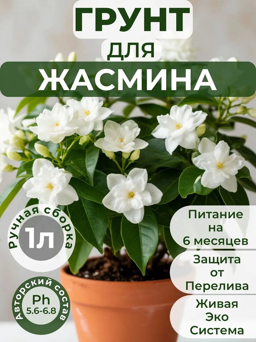 Готовый авторский грунт для Жасмина премиум 1 литр