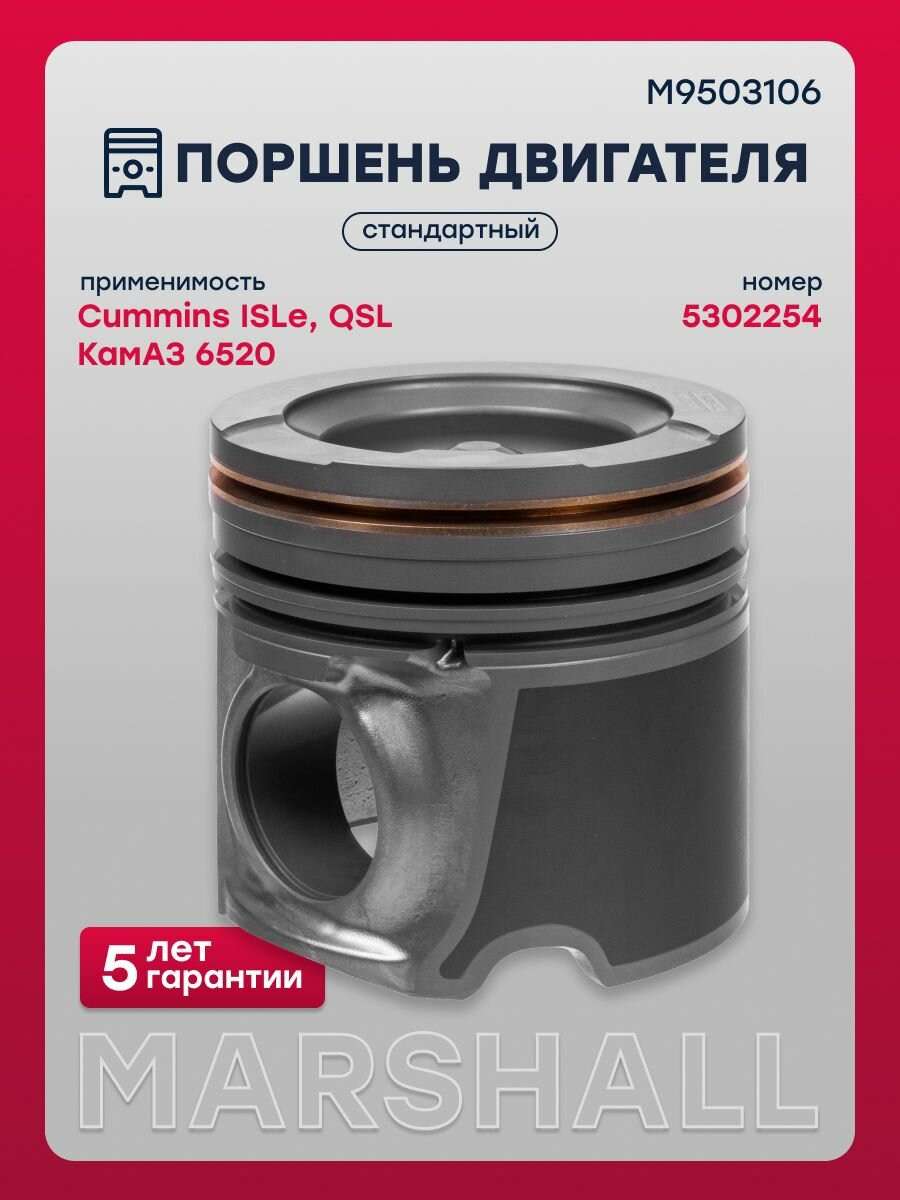 Поршень для Cummins ISLe, QSL (Две проточки) о. н. 5302254 (M9503106)