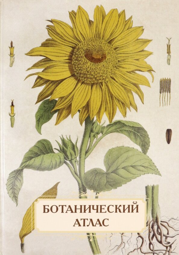 Ботанический атлас. Н. П. Животовский