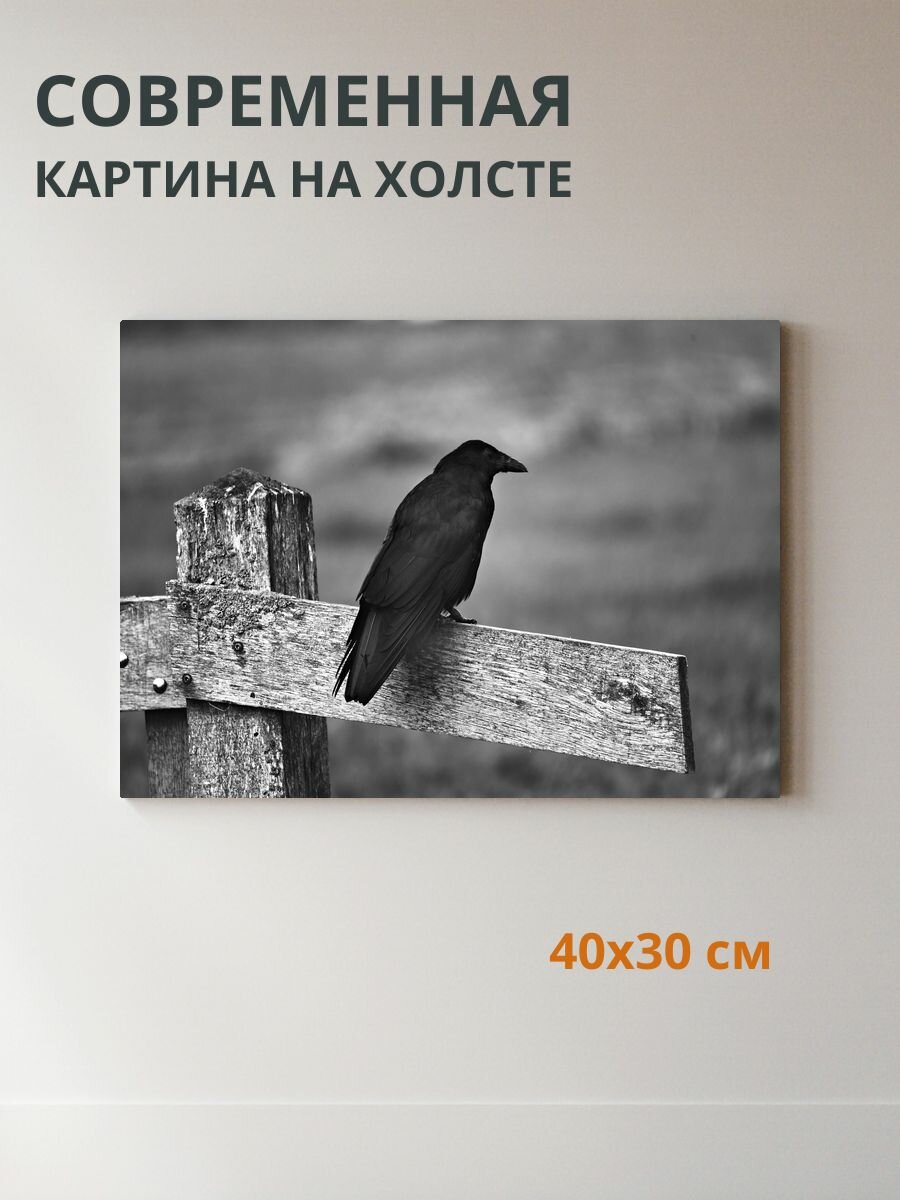 Картина на холсте Ворона 40x30 см