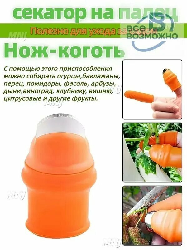 Плодосборникх5.2см — фото 1