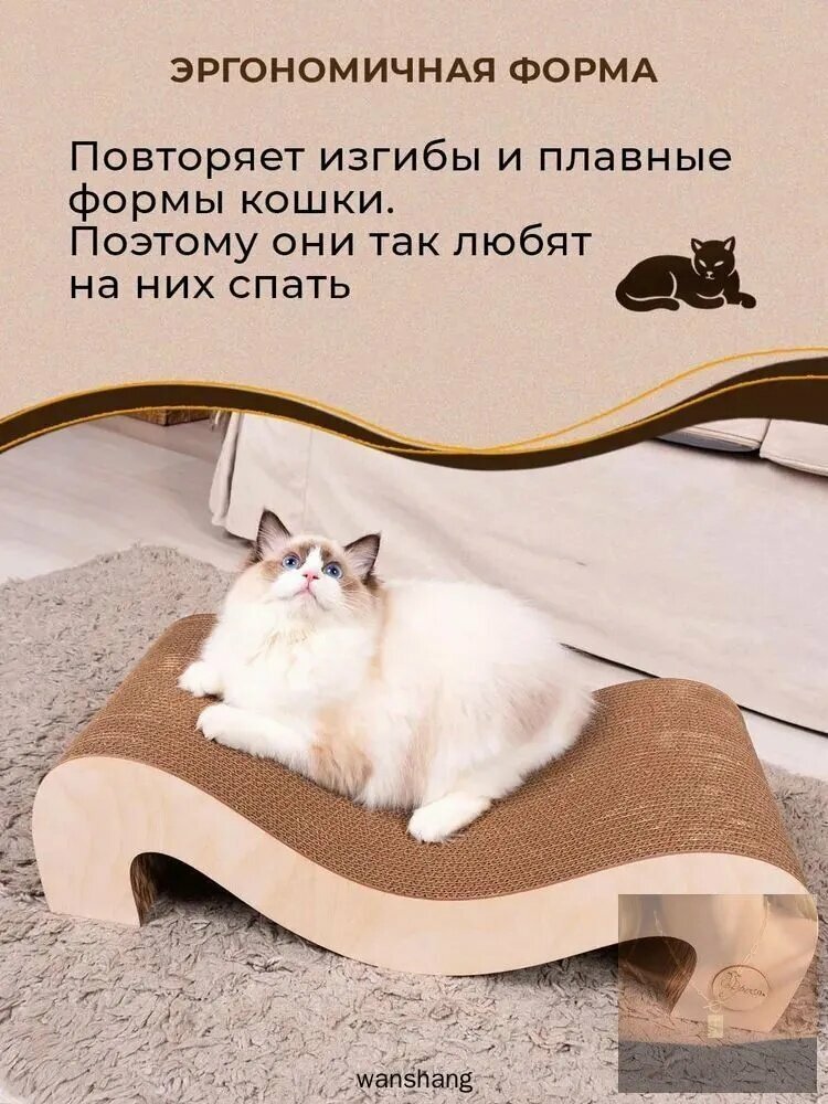 Когтеточка — фото 1