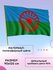 Флаг Цыган