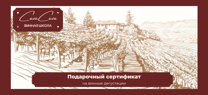 Подарочный сертификат - Винная школа CavaCava | номинал 8000 RUB | Россия | Подарок для любого случая