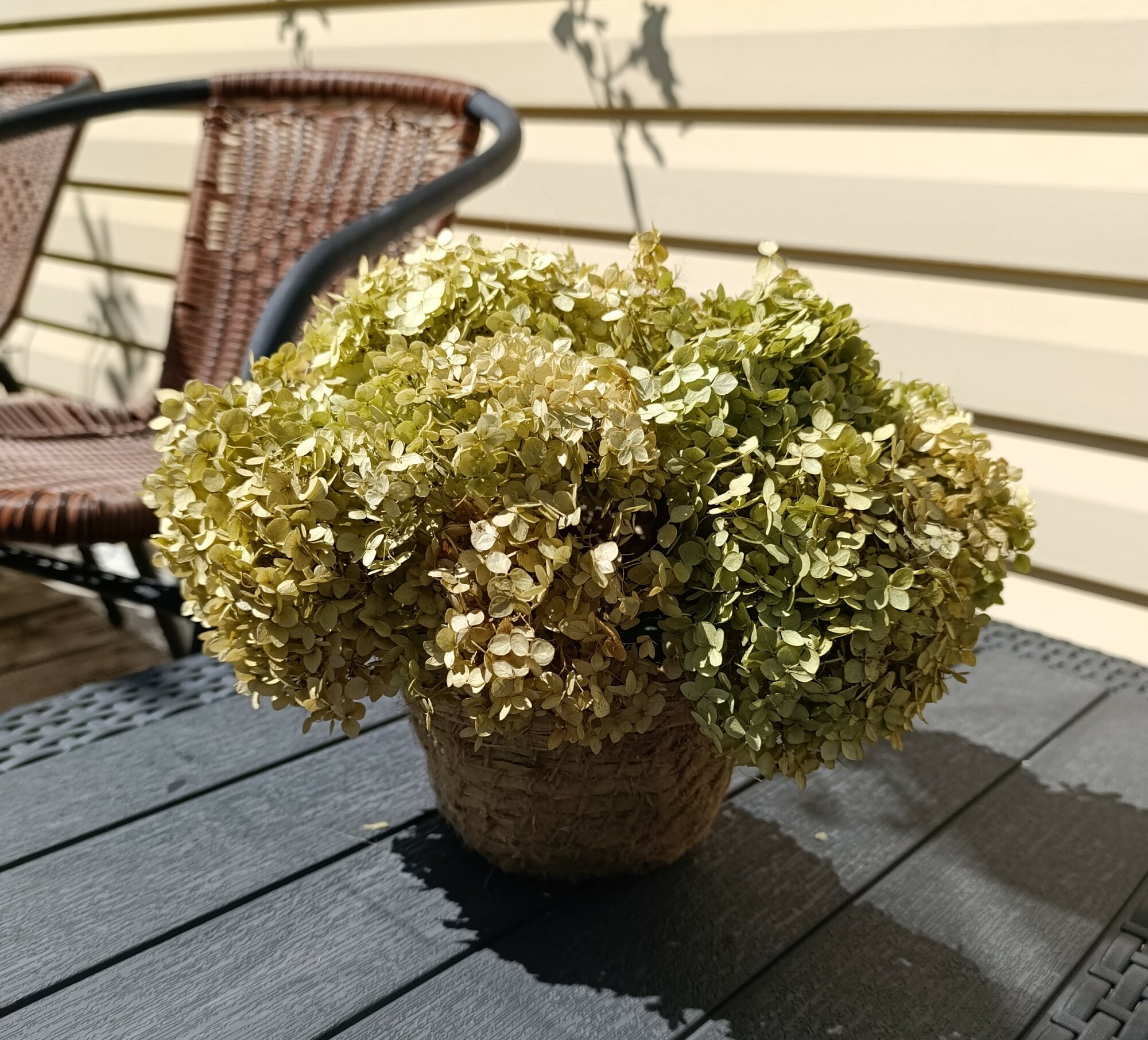 Сухоцвет Поделки домового "Гортензия", для декора, 10 цветов