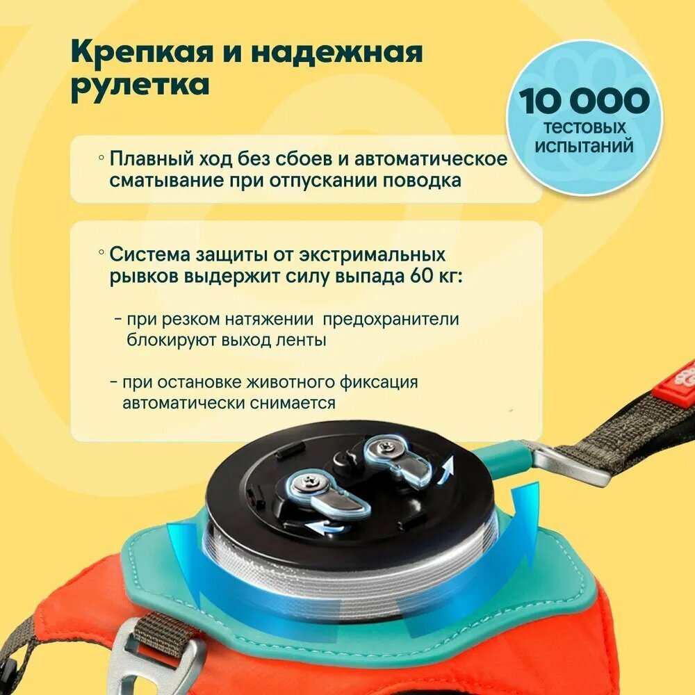 Шлейка — фото 1