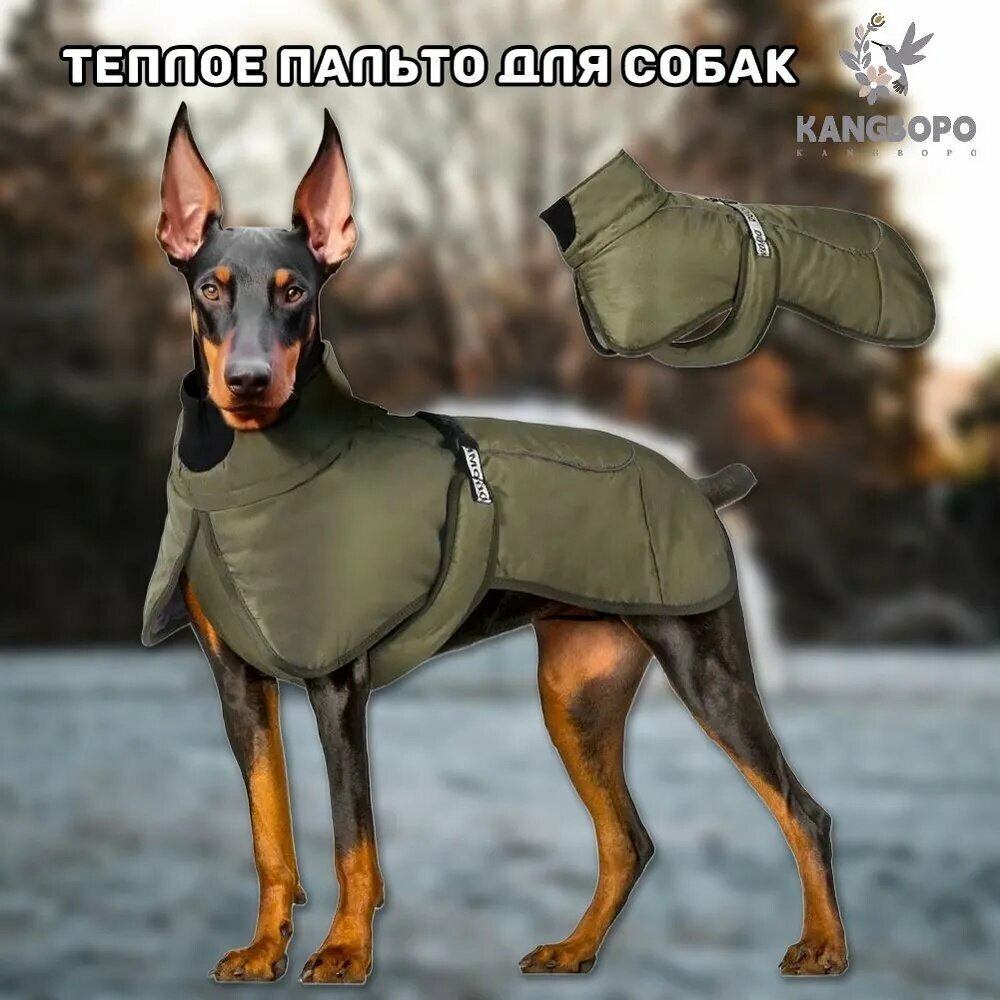 Одежда для животных/попона теплая для собак, Унисекс, XL, синий