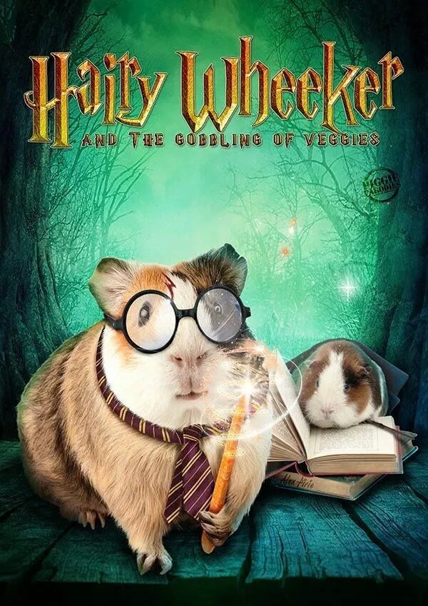 Алмазная Мозаика "Милая Морская Свинка" 40x50 См Алмазная Вышивка / Картина Стразами Подарков / Украшения