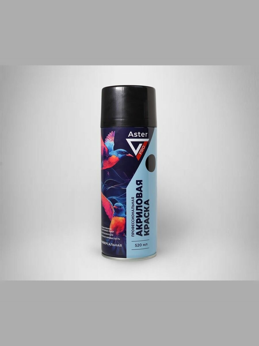 Краска-спрей акриловая (чёрный глянцевый) ASTER 39