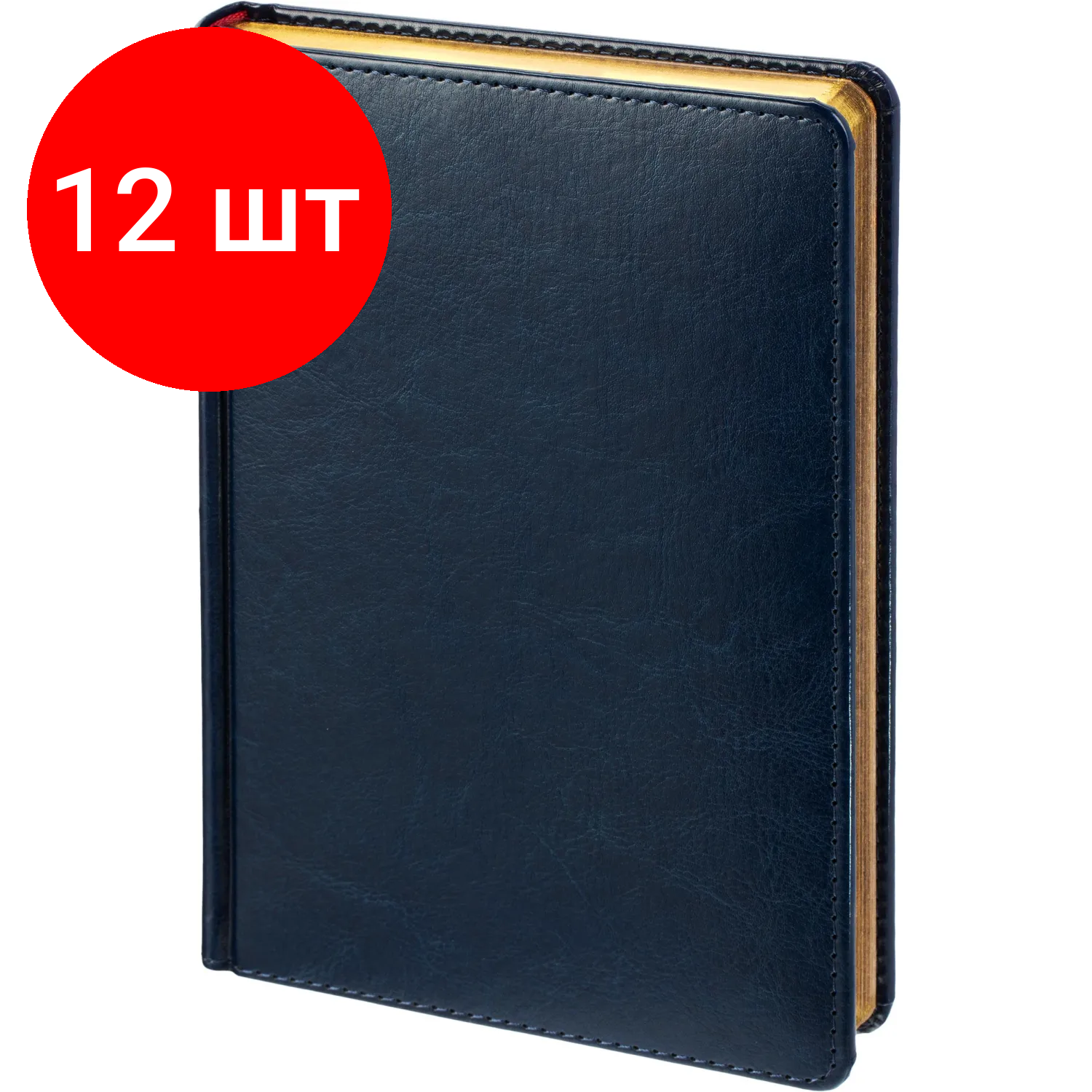 Комплект 12 штук, Ежедневник датированный 2026 А5+ SIDNEY NEBRASKA синий, зол обрез 3-125/04