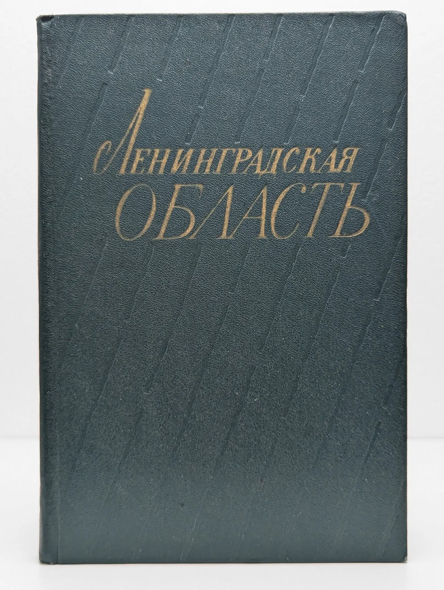 Ленинградская область Даринский Анатолий Викторович 1970
