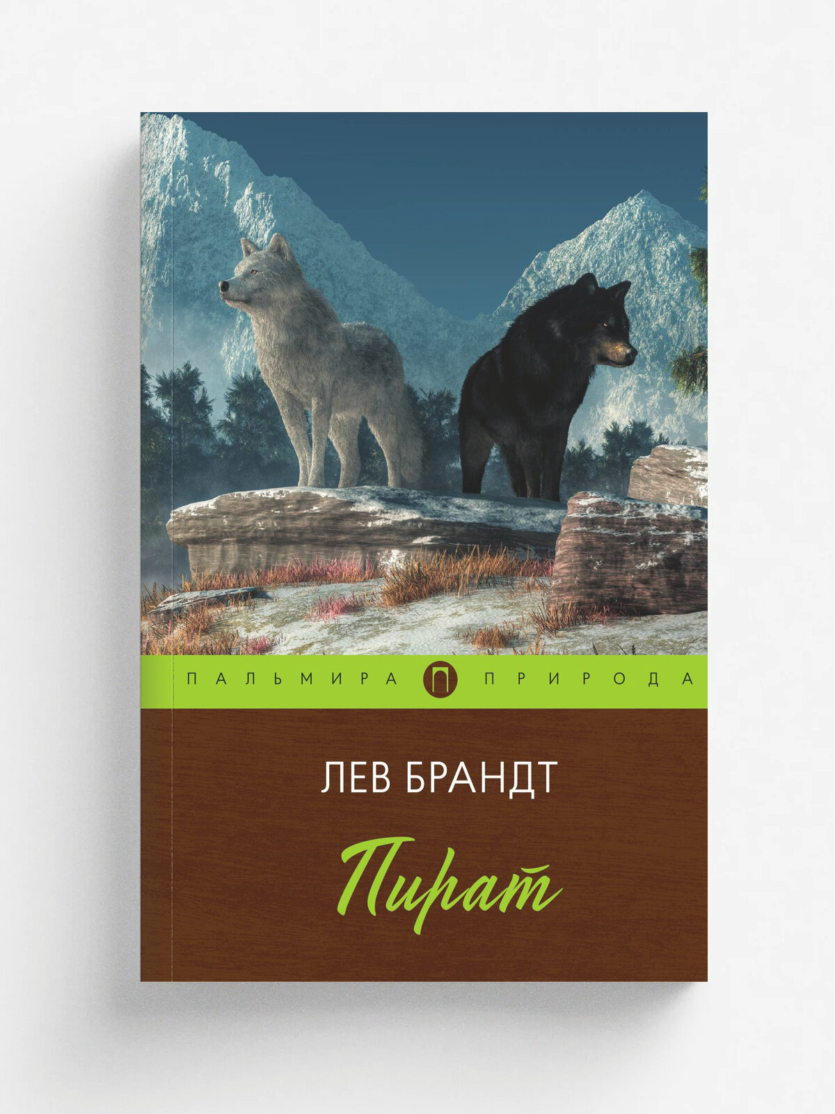 Пират. Повесть