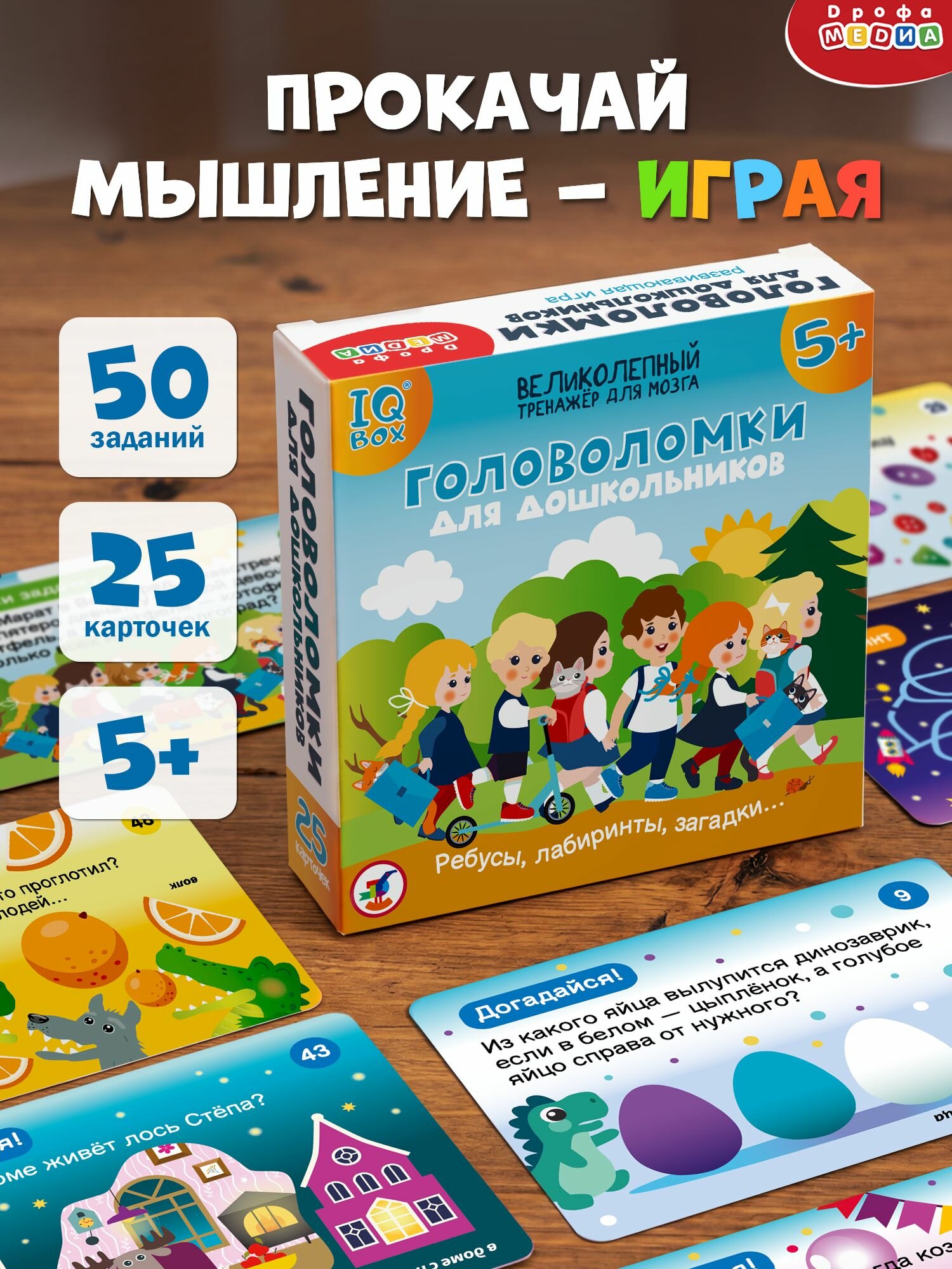 Развивающие игры Дрофа-Медиа Головоломки для дошкольников, детей от 5 лет