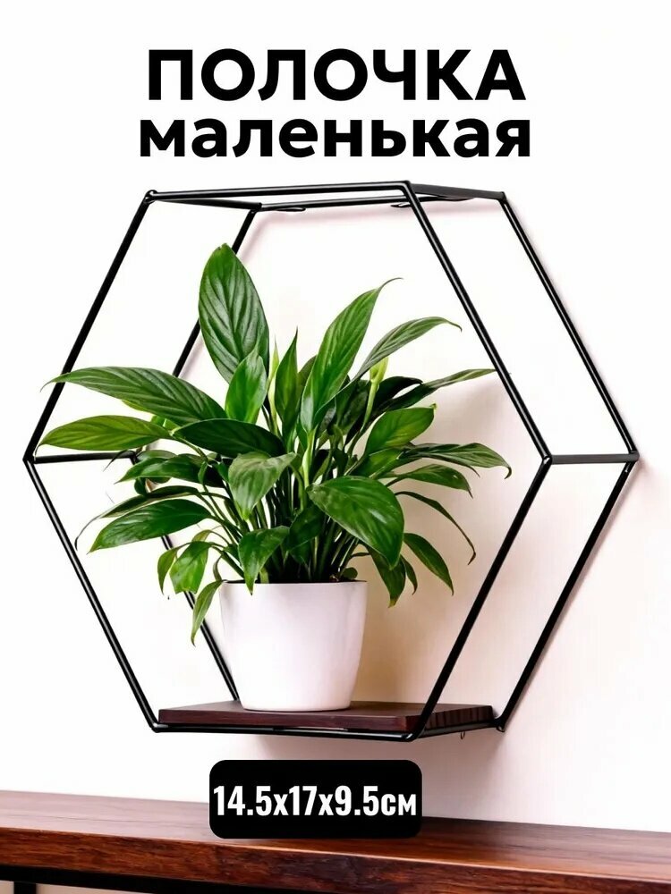 Полка интерьерная с крючками Настенная Прямая, 17х9.5х14.5 см, 1 шт.
