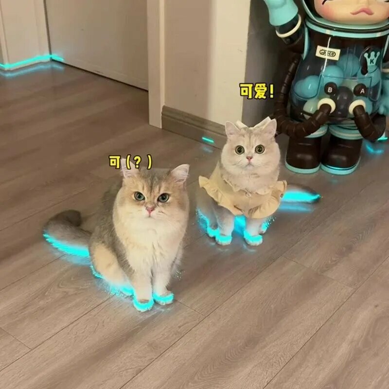 Светящиеся шнурки для обуви, ночной светящийся вариант