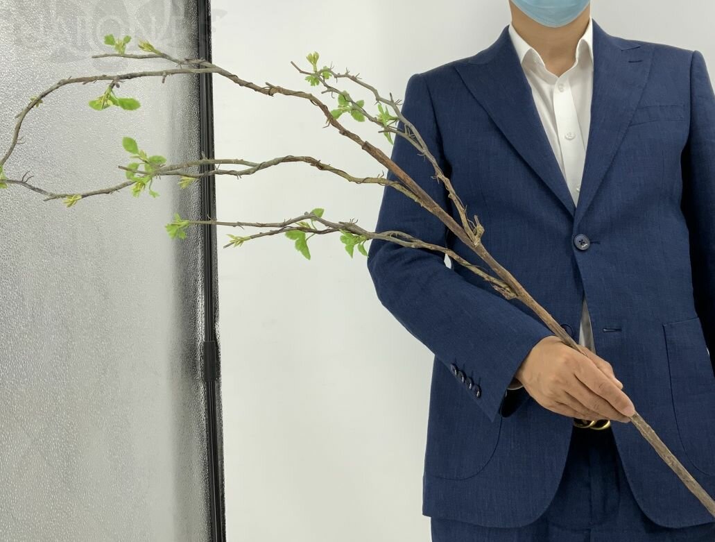 Искусственные цветы для декораторов фитостен флористическая ветка с листьями 110см