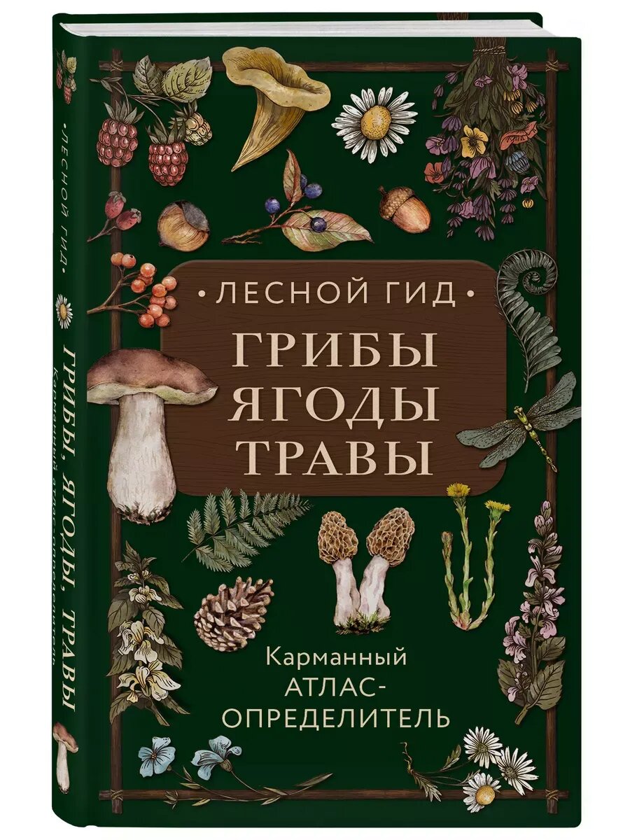 Людмила Семенова. Лесной гид. Грибы, ягоды, травы. Карманный атлас-определитель